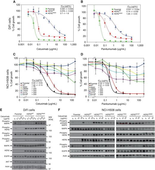 HER2 Activating Mutations Are Targets for Colorectal Cancer Treatment ...