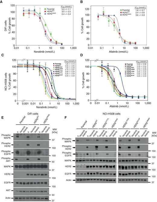 HER2 Activating Mutations Are Targets for Colorectal Cancer Treatment ...
