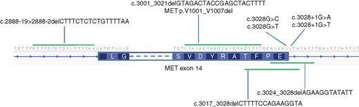 Response to MET Inhibitors in Patients with Stage IV Lung ...