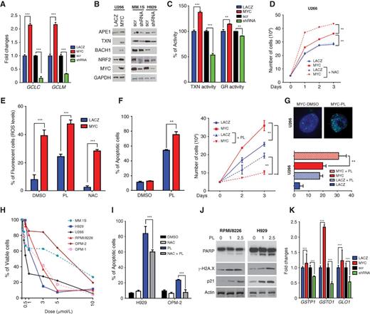 Synthetic Lethal Approaches Exploiting DNA Damage in Aggressive Myeloma ...