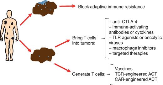 Adaptive Immune Resistance: How Cancer Protects from Immune Attack ...