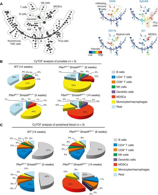 Targeting YAP-Dependent MDSC Infiltration Impairs Tumor Progression ...
