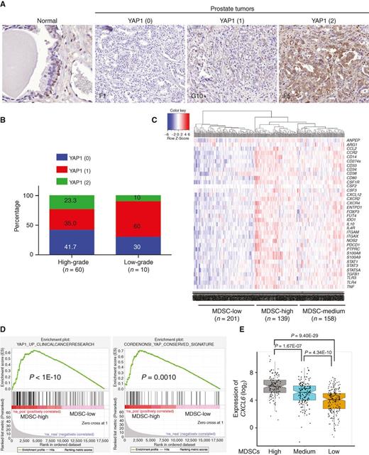 Targeting YAP-Dependent MDSC Infiltration Impairs Tumor Progression ...