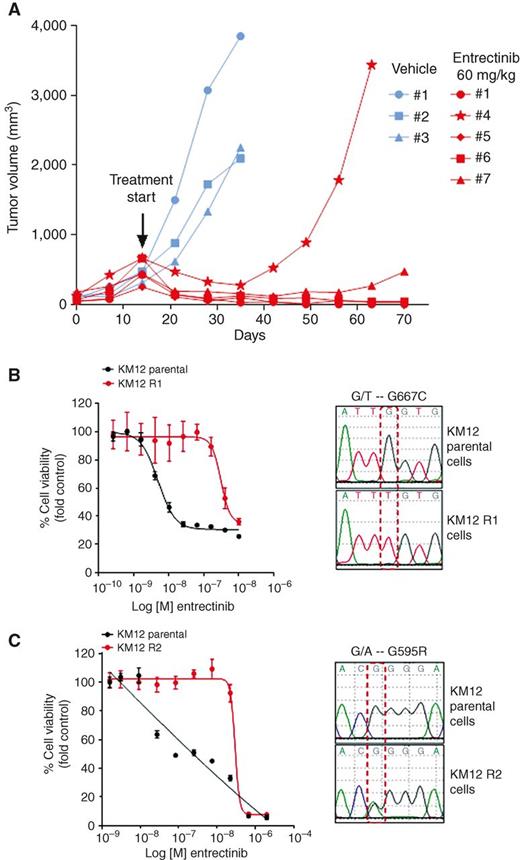 Acquired Resistance to the TRK Inhibitor Entrectinib in Colorectal ...