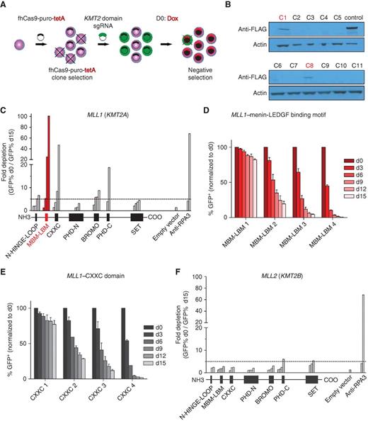 Targeting Chromatin Regulators Inhibits Leukemogenic Gene Expression in ...