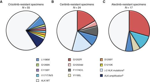 Molecular Mechanisms of Resistance to First- and Second-Generation ALK ...