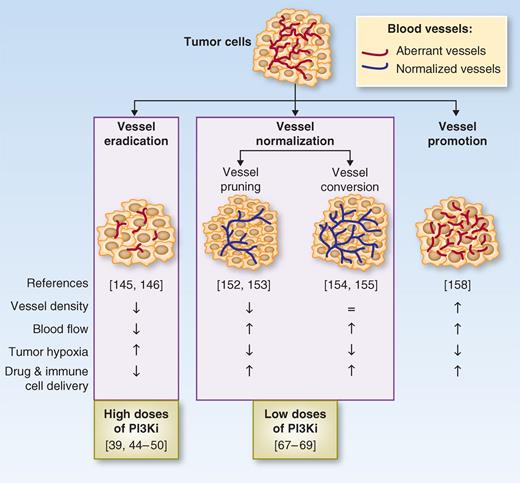 Targeting PI3K in Cancer: Impact on Tumor Cells, Their Protective ...