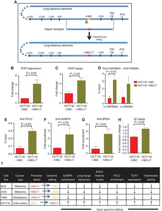 Long-Range Chromatin Interactions Drive Mutant TERT Promoter Activation | Cancer Discovery ...