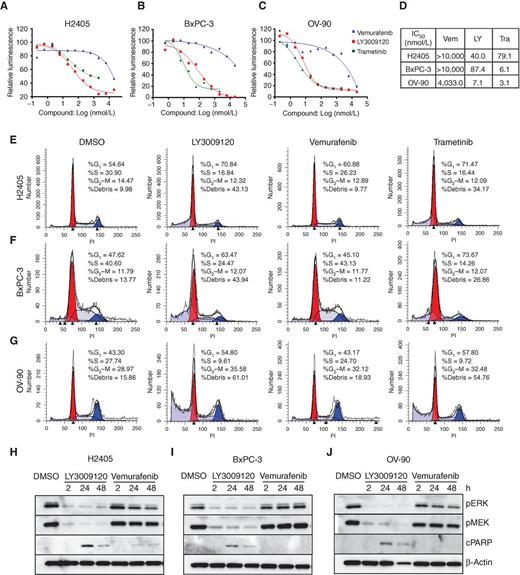 Oncogenic BRAF Deletions That Function as Homodimers and Are Sensitive ...