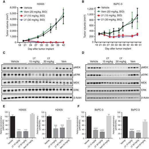Oncogenic BRAF Deletions That Function as Homodimers and Are Sensitive ...
