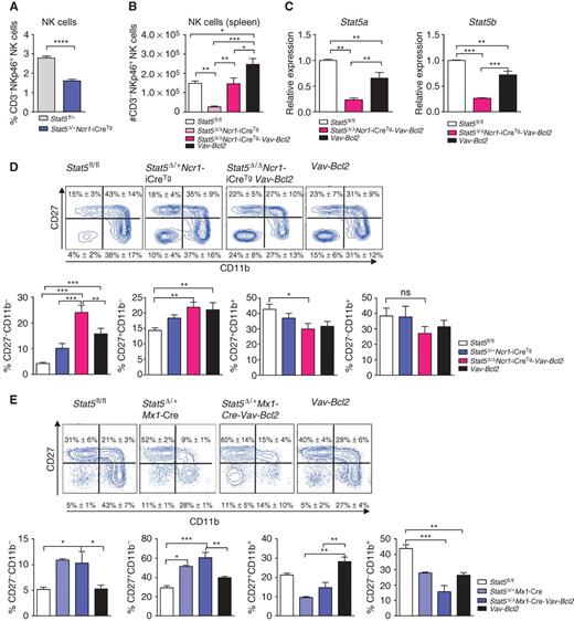 STAT5 Is a Key Regulator in NK Cells and Acts as a Molecular Switch ...