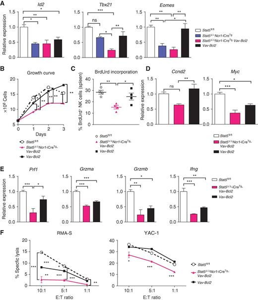 STAT5 Is a Key Regulator in NK Cells and Acts as a Molecular Switch ...