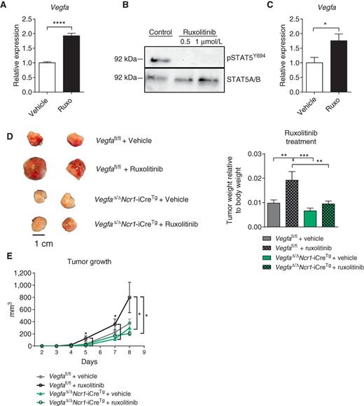 STAT5 Is a Key Regulator in NK Cells and Acts as a Molecular Switch ...