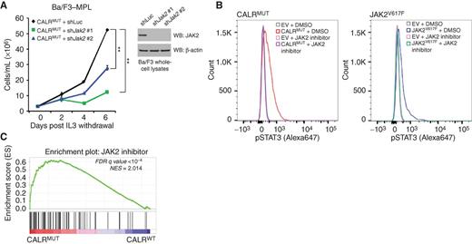 Mutant Calreticulin Requires Both Its Mutant C-terminus and the ...