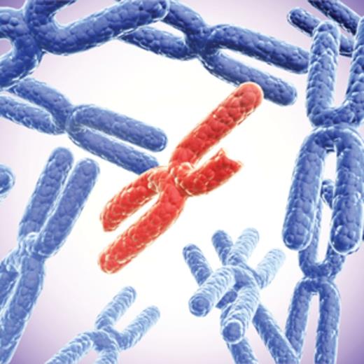 Tp53 Is Not The Only Driver Of Chromosome 17p Loss Cancer Discovery
