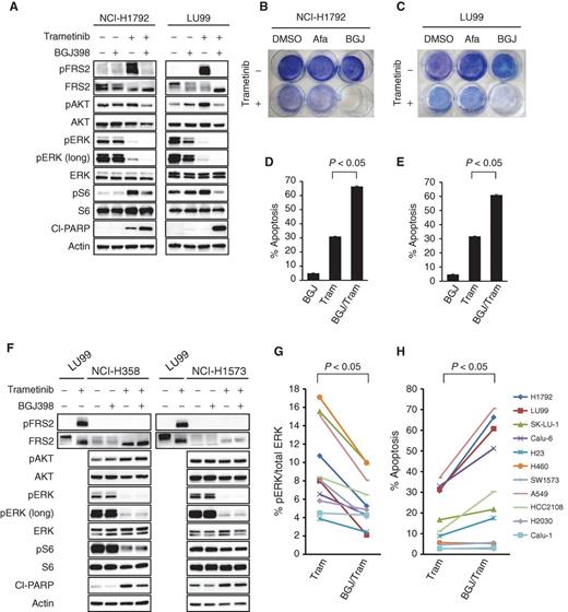 Epithelial-to-Mesenchymal Transition Defines Feedback Activation of ...