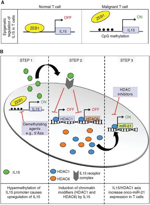 Mechanism, Consequences, and Therapeutic Targeting of Abnormal IL15 ...