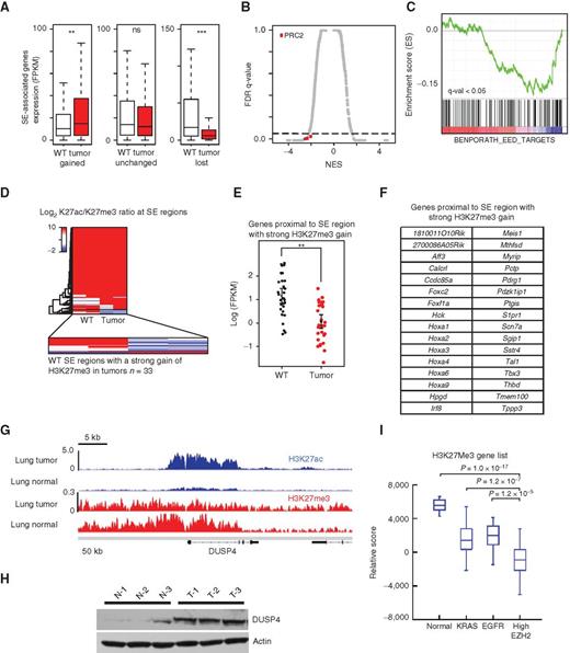 Oncogenic Deregulation of EZH2 as an Opportunity for Targeted Therapy in Lung Cancer | Cancer ...