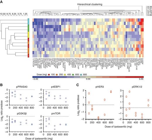 A First-in-Human Phase I Study of the ATP-Competitive AKT Inhibitor ...