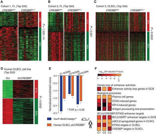 CREBBP Inactivation Promotes the Development of HDAC3-Dependent ...