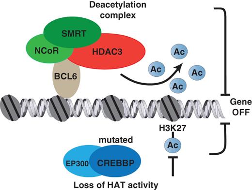 Targeting HDAC3 in CREBBP-Mutant Lymphomas Counterstrikes Unopposed ...