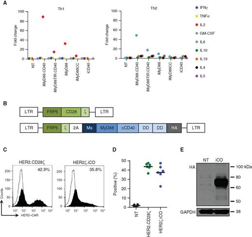 Inducible Activation of MyD88 and CD40 in CAR T Cells Results in ...
