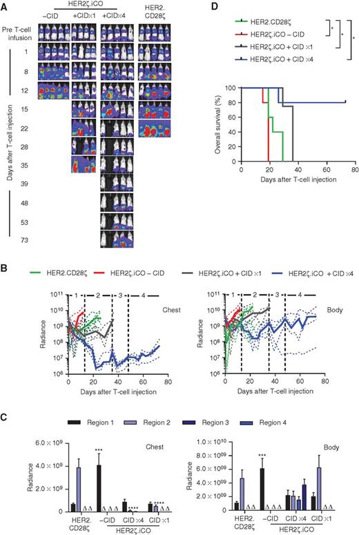 Inducible Activation of MyD88 and CD40 in CAR T Cells Results in ...