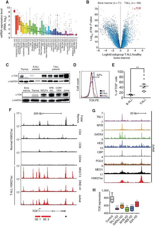 TOX Regulates Growth, DNA Repair, and Genomic Instability in T-cell ...
