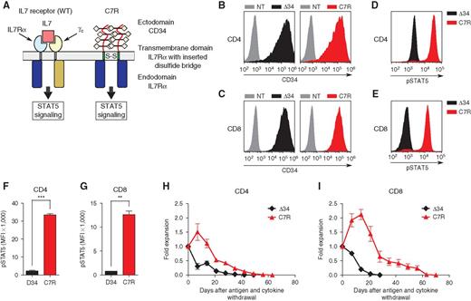 Constitutive Signaling from an Engineered IL7 Receptor Promotes Durable ...