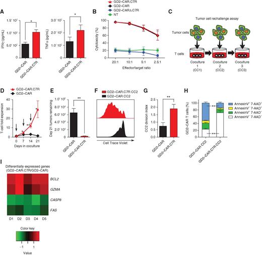 Constitutive Signaling from an Engineered IL7 Receptor Promotes Durable ...