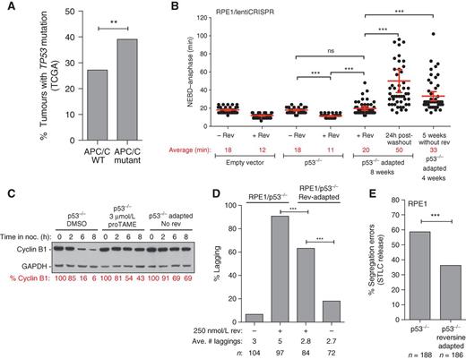 APC/C Dysfunction Limits Excessive Cancer Chromosomal Instability ...