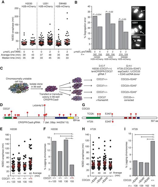 APC/C Dysfunction Limits Excessive Cancer Chromosomal Instability ...