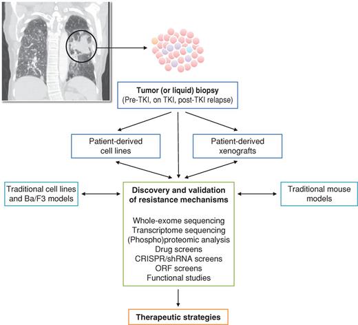 Targeting ALK: Precision Medicine Takes on Drug Resistance | Cancer ...