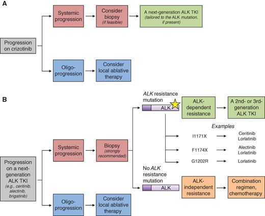 Targeting ALK: Precision Medicine Takes on Drug Resistance | Cancer ...