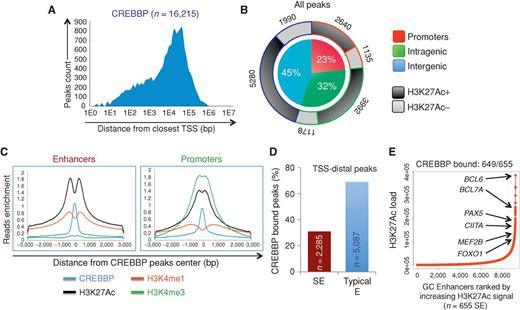 The CREBBP Acetyltransferase Is a Haploinsufficient Tumor Suppressor in ...