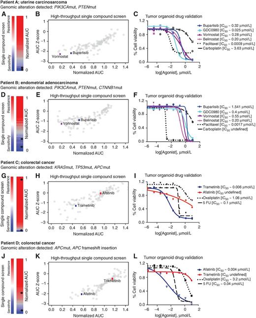 Personalized In Vitro and In Vivo Cancer Models to Guide Precision ...