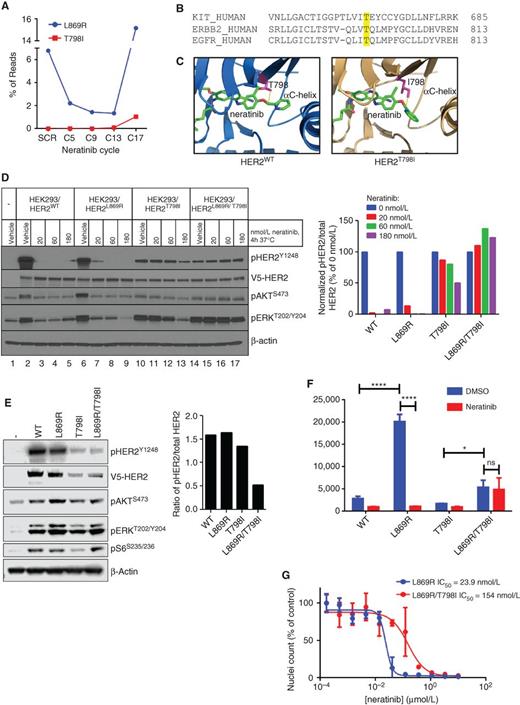 An Acquired HER2 T798I Gatekeeper Mutation Induces Resistance to ...