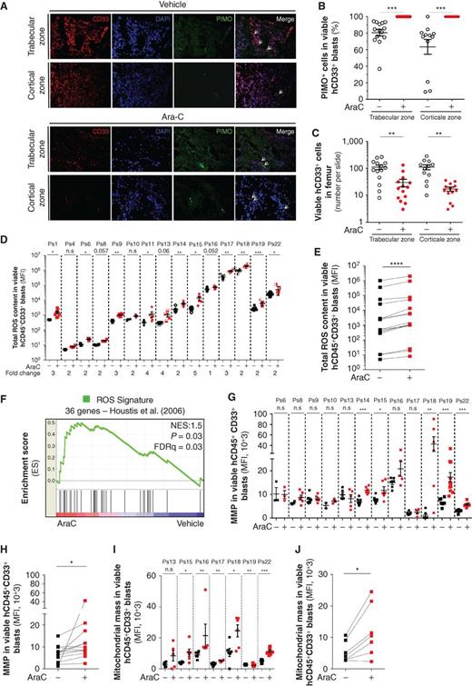 Chemotherapy-Resistant Human Acute Myeloid Leukemia Cells Are Not ...