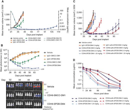 Discovery and Optimization of HKT288, a Cadherin-6–Targeting ADC for ...