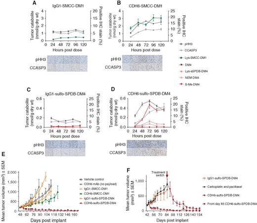 Discovery and Optimization of HKT288, a Cadherin-6–Targeting ADC for ...