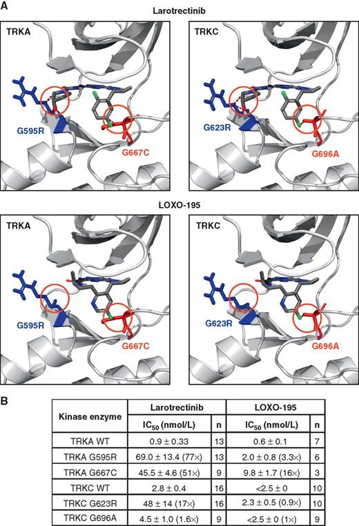 A Next-Generation TRK Kinase Inhibitor Overcomes Acquired Resistance to ...