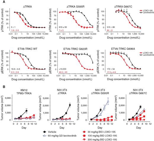 A Next-Generation TRK Kinase Inhibitor Overcomes Acquired Resistance to ...