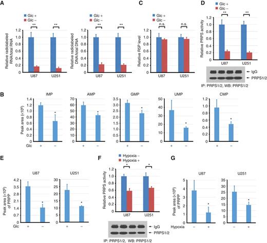 Conversion of PRPS Hexamer to Monomer by AMPK-Mediated Phosphorylation ...