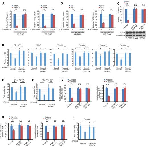 Conversion of PRPS Hexamer to Monomer by AMPK-Mediated Phosphorylation ...