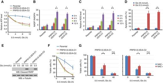 Conversion of PRPS Hexamer to Monomer by AMPK-Mediated Phosphorylation ...