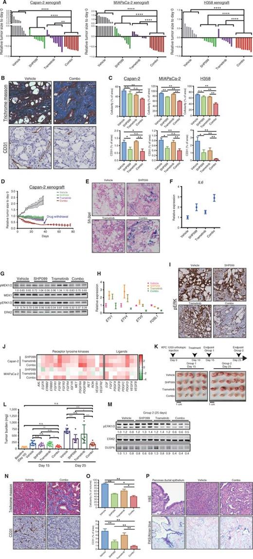 SHP2 Inhibition Prevents Adaptive Resistance to MEK Inhibitors in ...