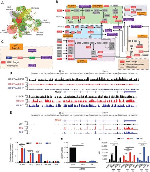 Targeting the MTF2–MDM2 Axis Sensitizes Refractory Acute Myeloid ...