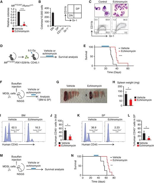 Pathobiological Pseudohypoxia as a Putative Mechanism Underlying ...