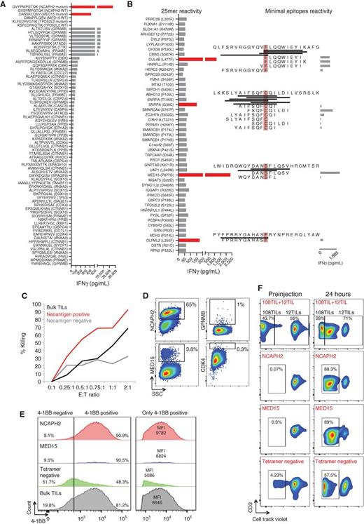 Combined Analysis of Antigen Presentation and T-cell Recognition ...