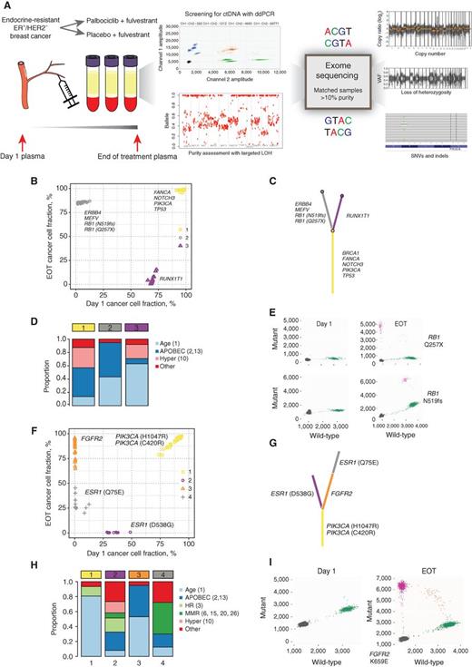 The Genetic Landscape and Clonal Evolution of Breast Cancer Resistance ...